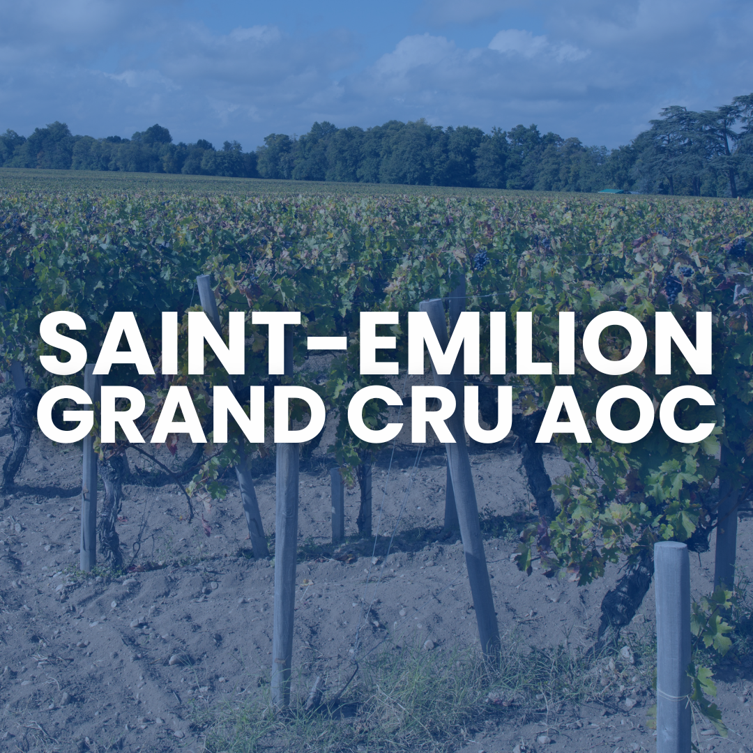 Saint-Emilion Grand Cru AOC: Una Gemma della Viticoltura Francese – La ...