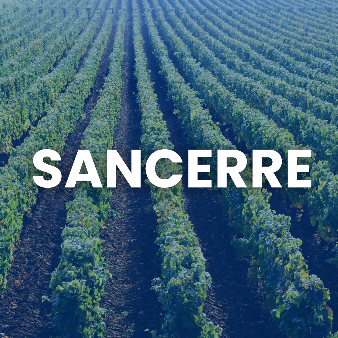 Vino Sancerre: Perché il Sauvignon Blanc della Loira è Così Amato – La ...